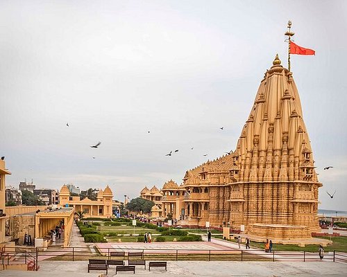 Exploring the Cultural Heritage of Daman Game: A Timeless Tradition ...